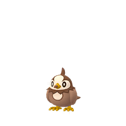 Starly in Pokémon GO: Best Movesets, Counters, Stats & More