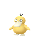 Enton (Pokémon GO) – Beste Attacken, Konter, Max WP & Werte