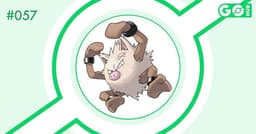Rasaff (Pokémon GO) – Beste Attacken, Konter, Max WP & Werte