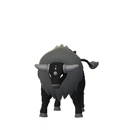 Paldean Tauros (Combat Breed) (Pokémon GO) – Best Moveset, Counters, Max CP & Stats