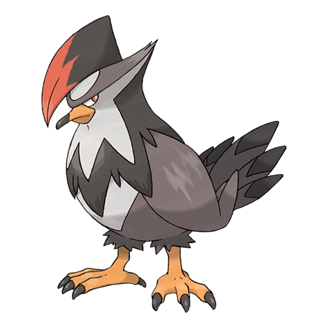 Shadow Staraptor - Best Moves, Counters, Max CP, Shiny Form