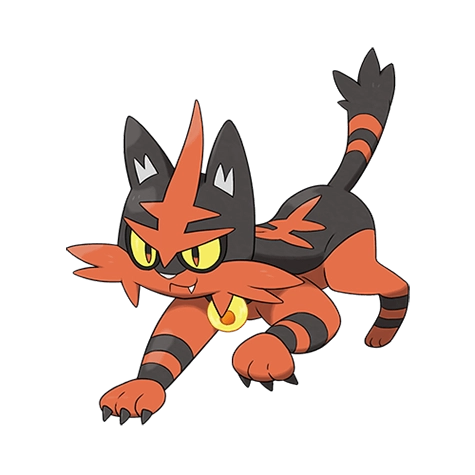 Torracat - Mejor combinación de ataques, contrincantes, PC máximo ...