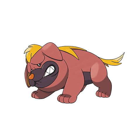 Maschiff - Best Moves, Counters, Max CP, Shiny Form